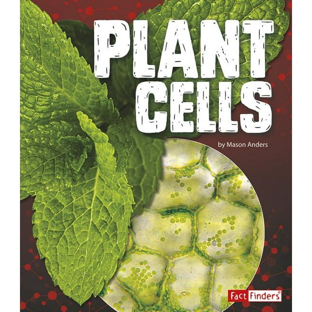 Genetics: Plant Cells (Hardcover) - Walmart.com