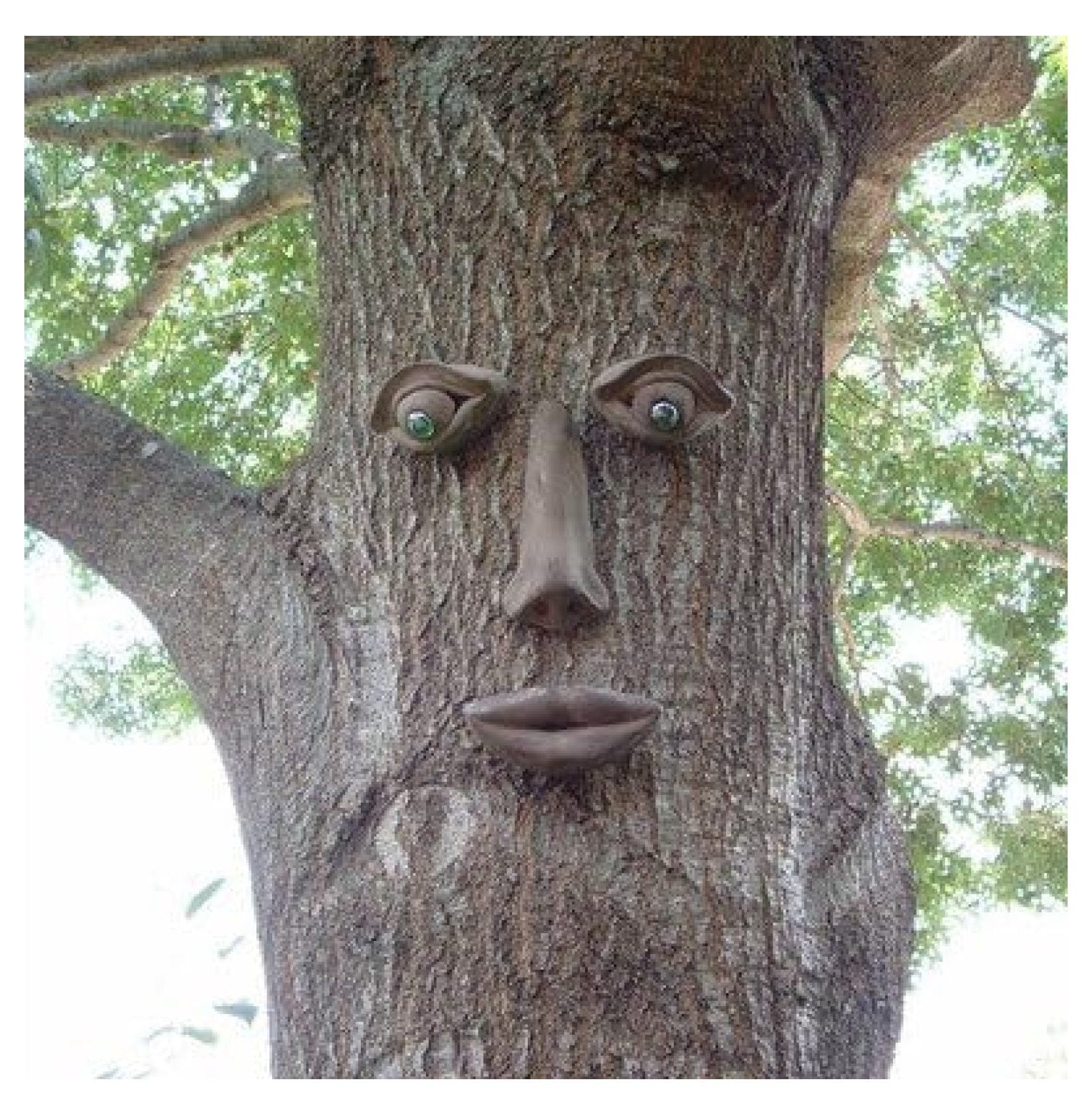Geniune Tree Peeple Simon Tree Face - Walmart.com
