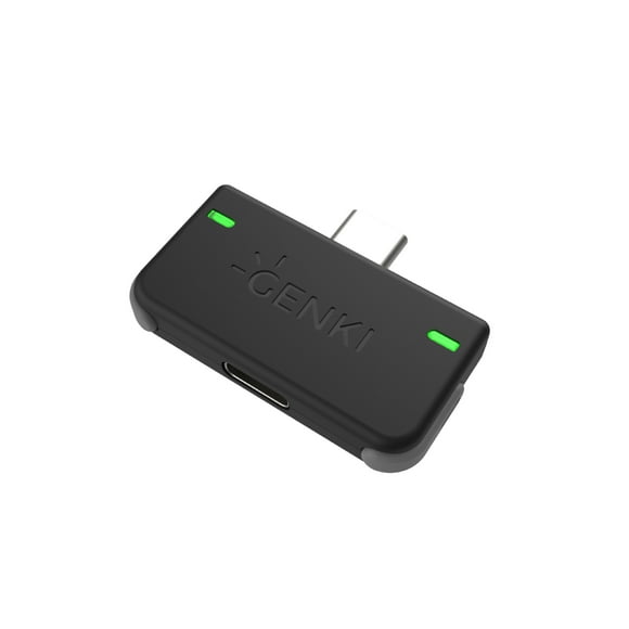 Nintendo Switch Dongle