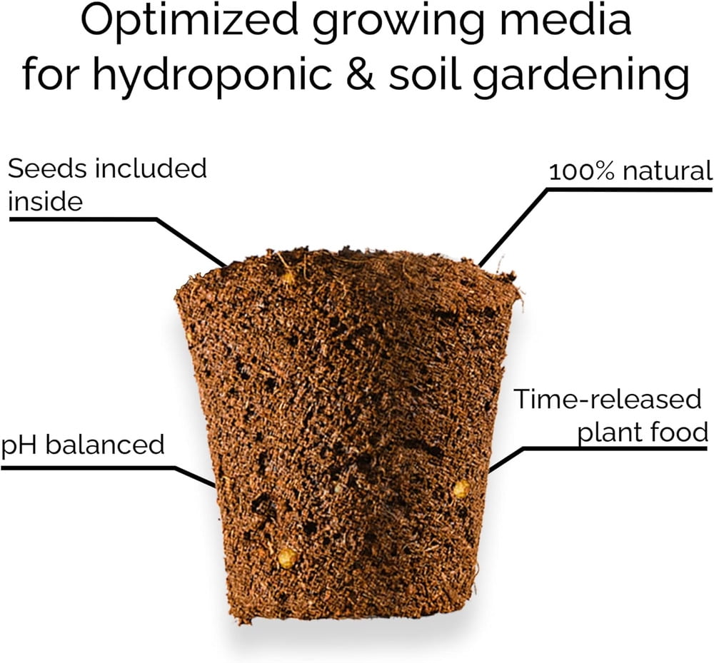 Genovese Basil - Complete Seed Pod Plugs with Plant Food - 10 Pods for ...