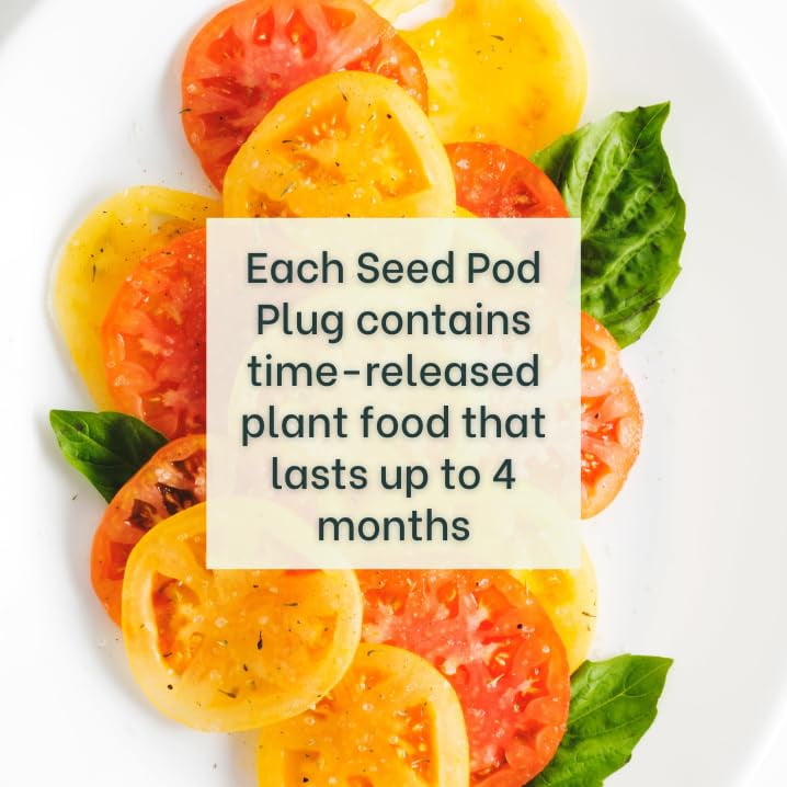 Genovese Basil - Complete Seed Pod Plugs with Plant Food - 10 Pods for ...