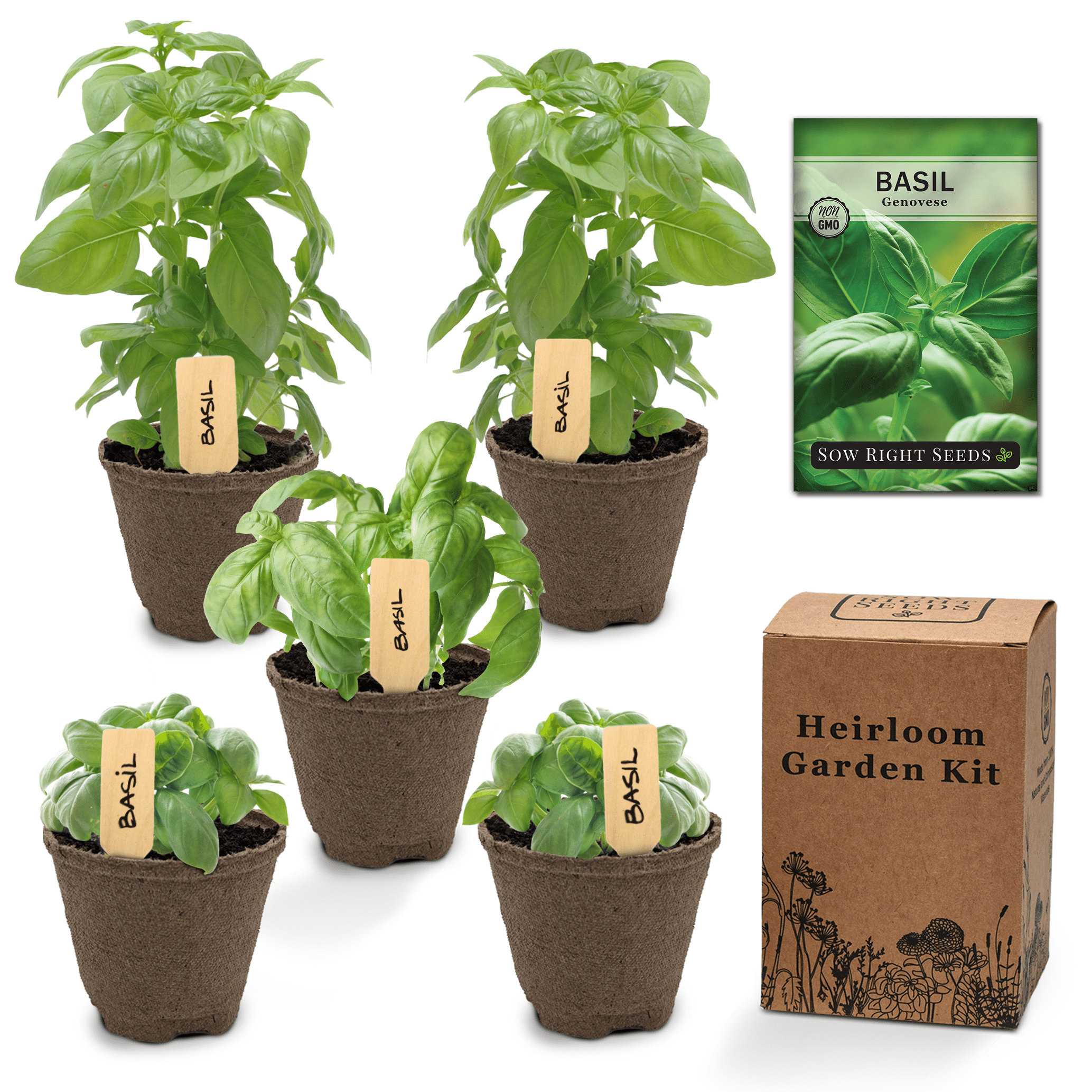 Genovese Basil Garden Kit - Grow Non GMO Herbs at Home, Includes Pots ...
