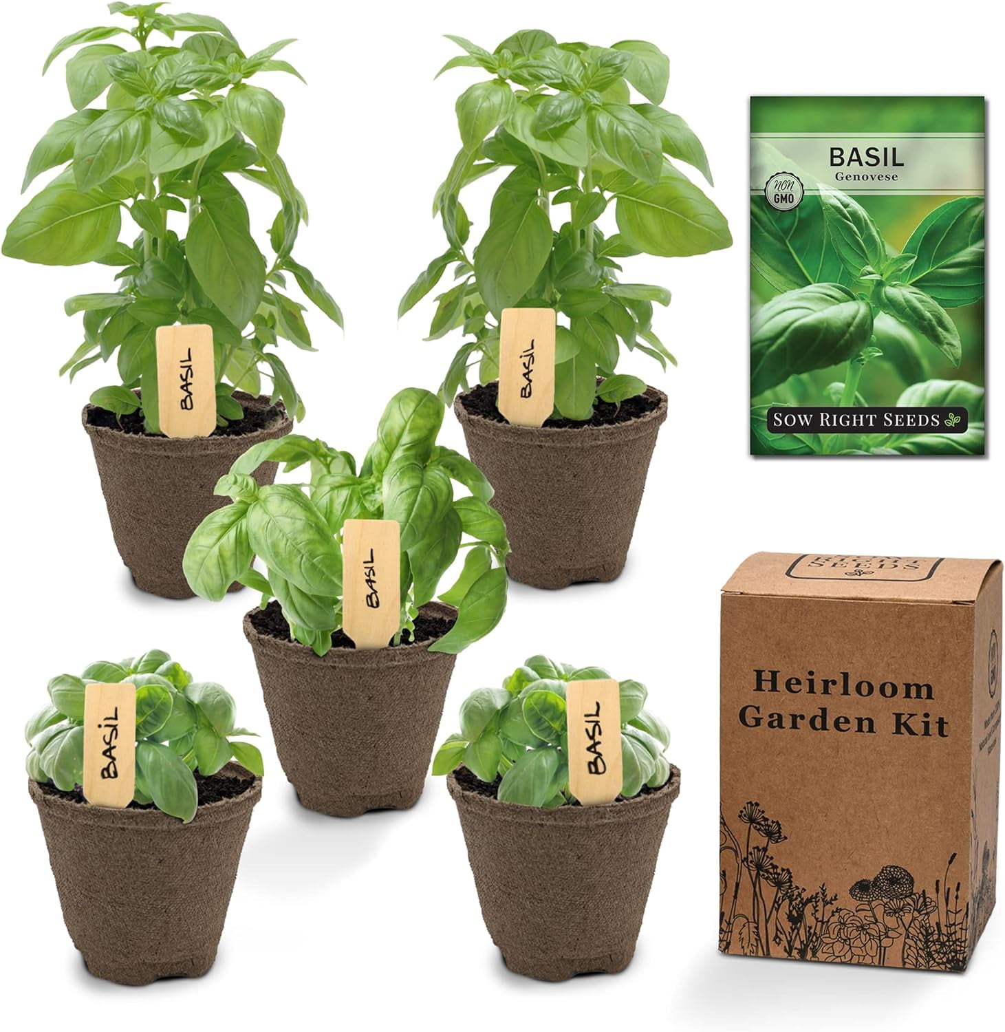 - Genovese Basil Garden Kit - Non-GMO Heirloom Herb Seeds for Planting Indoors - Includes Pots ...