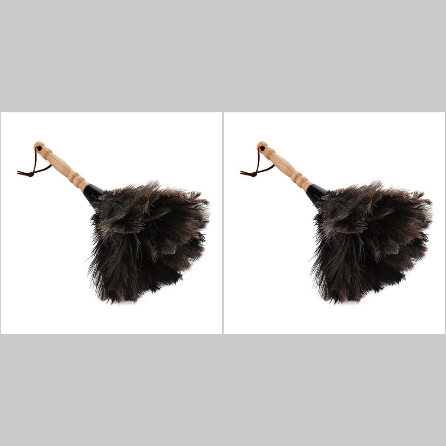 Gentle Effective and Reusable Eco-Friendly Ostrich Feather Duster with ...