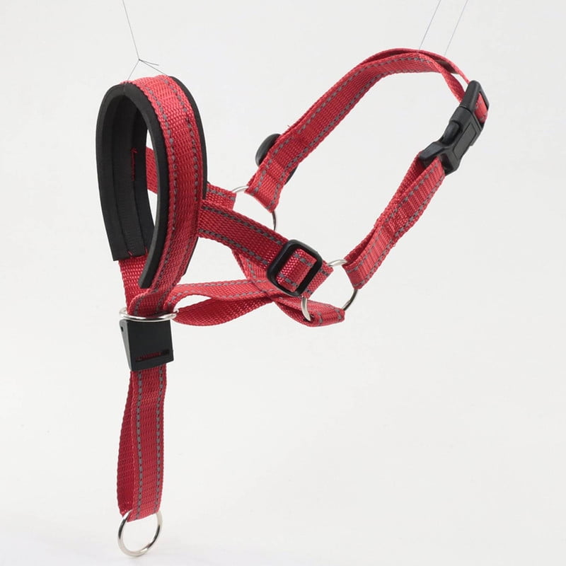 Gentle Leader for Dogs, Dog Head Halter with Safety Strap, Adjustable ...