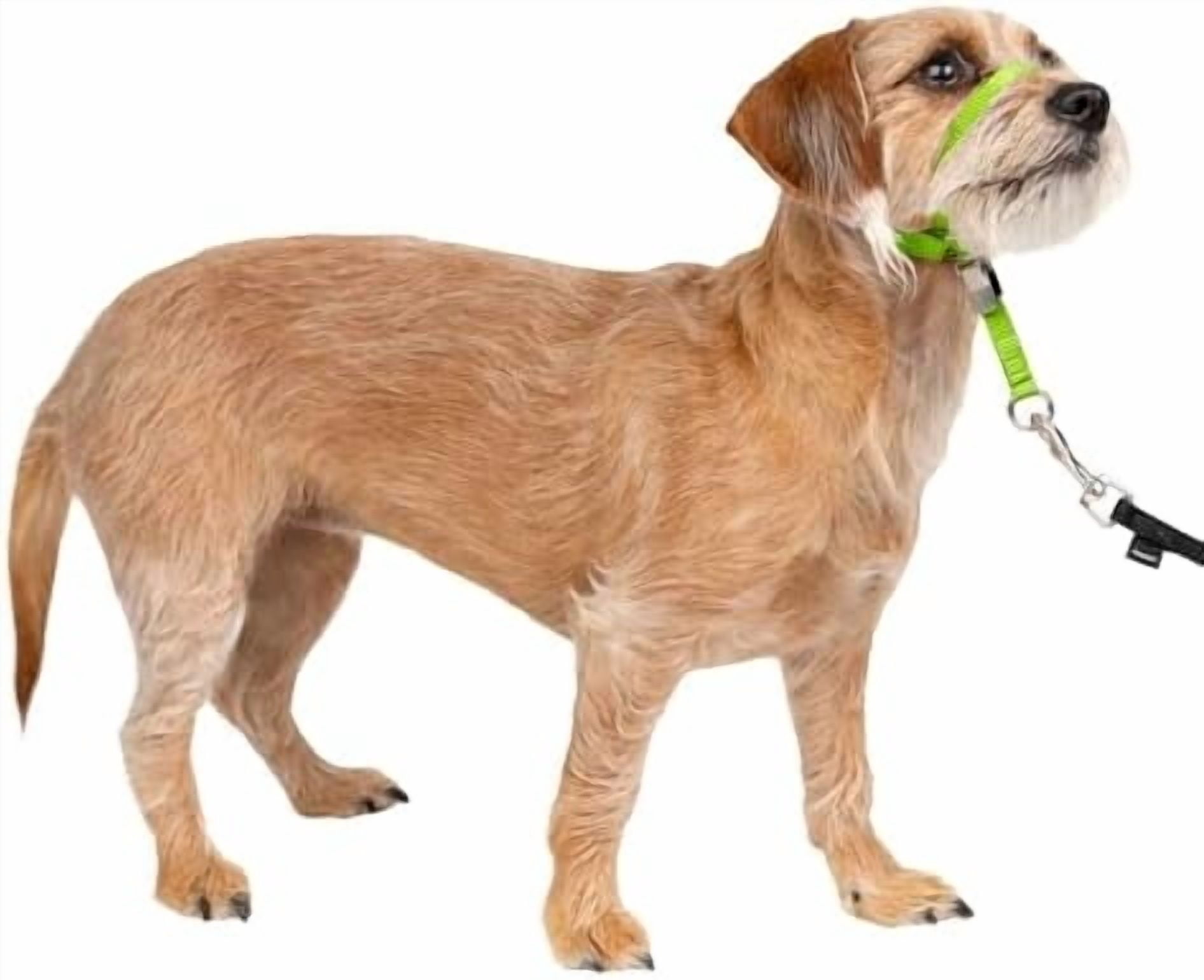 Gentle Leader No-Pull Dog Headcollar - The Ultimate Solution to Pulling ...