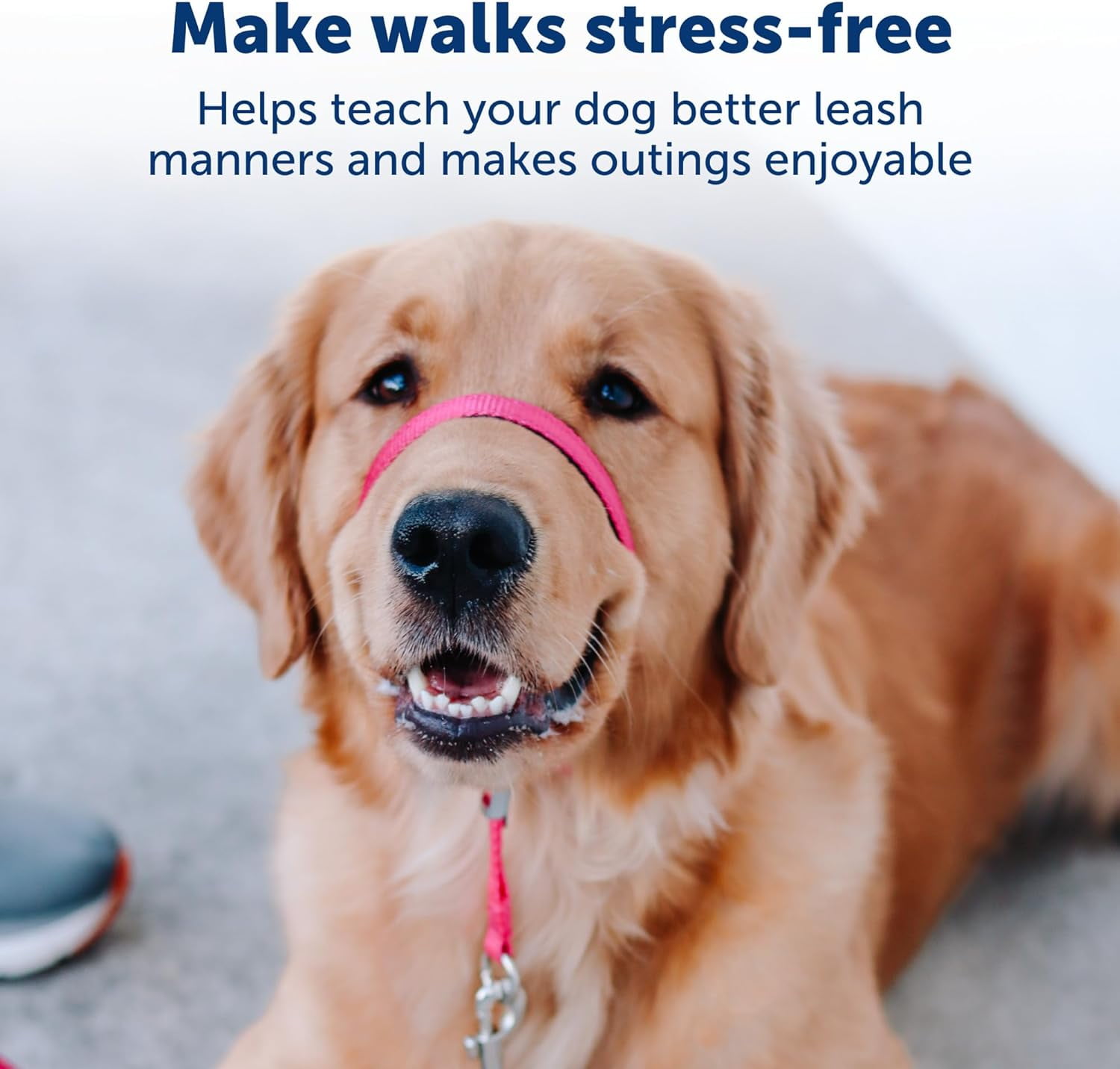 Gentle Leader No-Pull Head Collar for Dogs, Dog Head Collar - The Ultimate Solution to Pulling ...