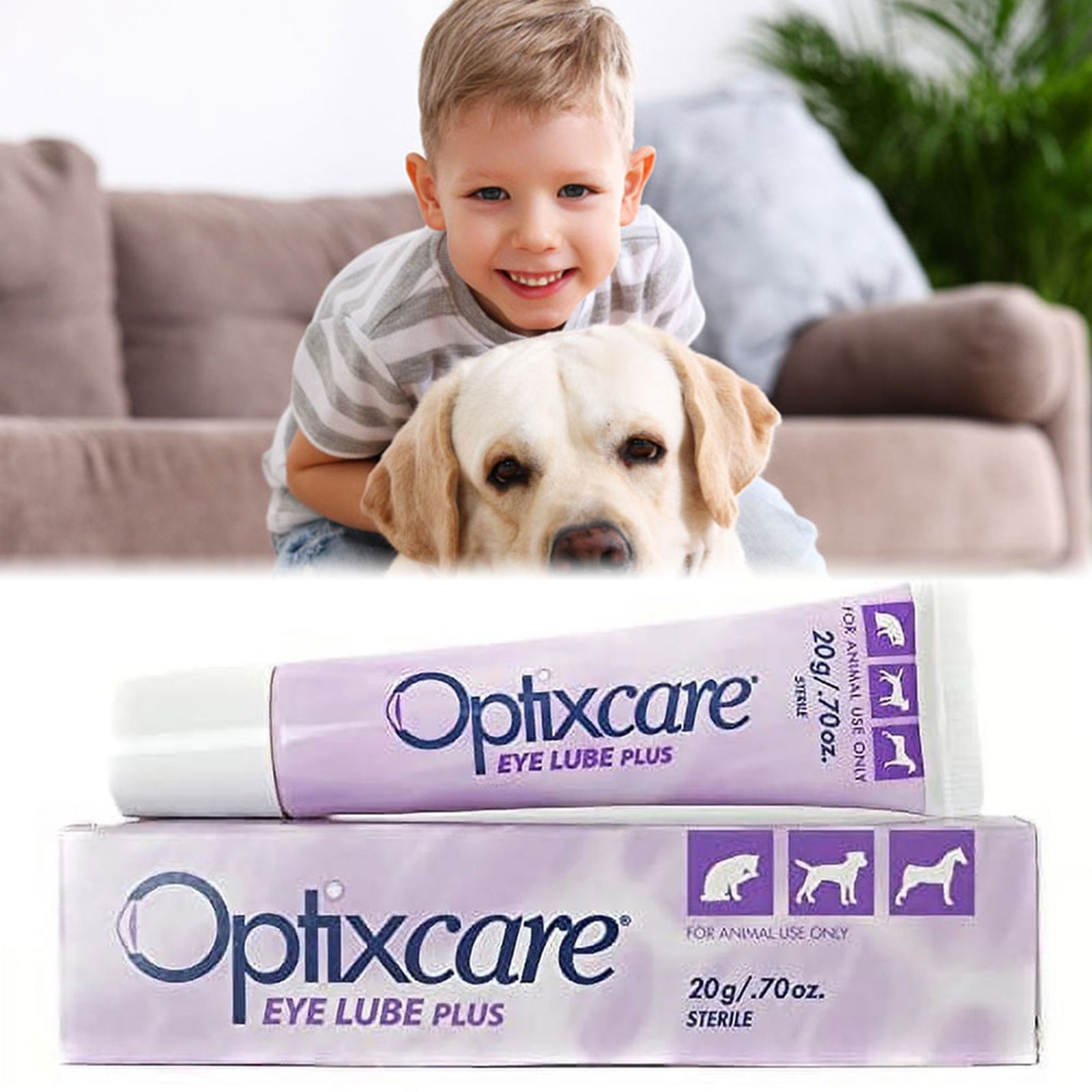 Gentle dog Eye drops Optixcare Pet Lube Plus Eye Drops for Dogs & Cats ...