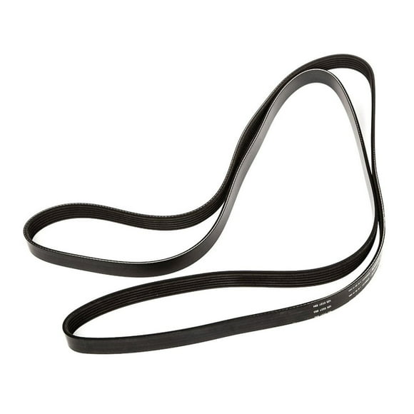 Cadillac Fleetwood Serpentine Belt