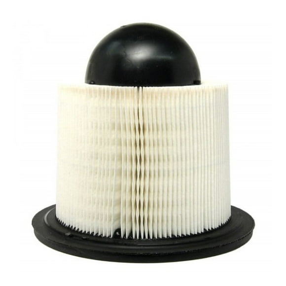 Ford F-150 Air Filters in Ford Air Filters - Walmart.com