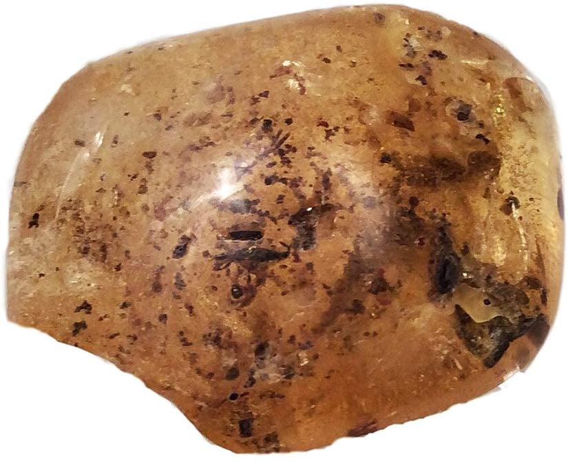 Genuine Amber Fossil 21 - Walmart.com