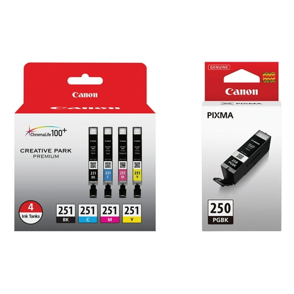 Canon Ink 250 And 251 Cartridges