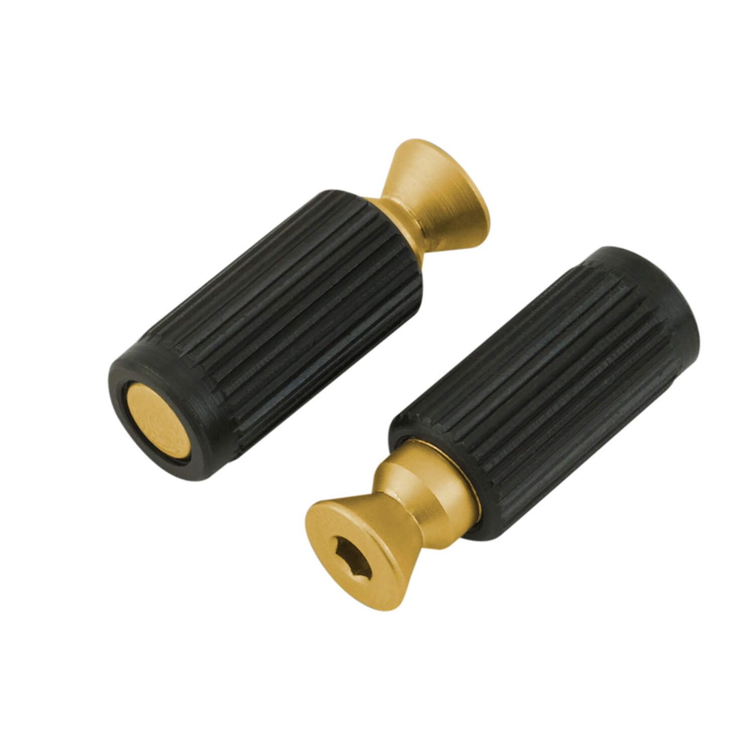 Genuine Floyd Rose Original Bridge Mounting Studs and Inserts - Satin ...
