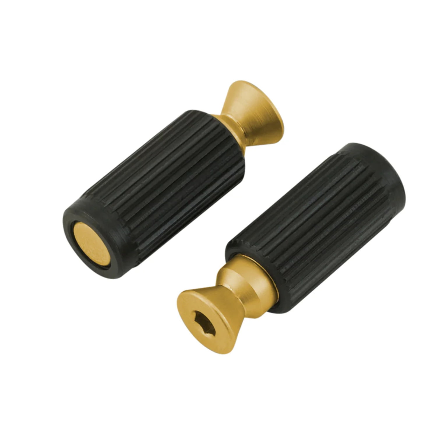 Genuine Floyd Rose Original Bridge Mounting Studs and Inserts - Satin ...