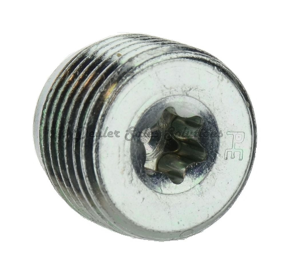 Ford Genuine OE W700251S437 Rear Differential Drain Plug (2013-2019 ...