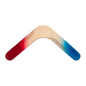 Boomerang Toy