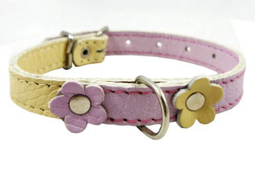 Genuine High Quality Leather Designer Dog Collar, Daisy, Studs. 11"x1/2 ...