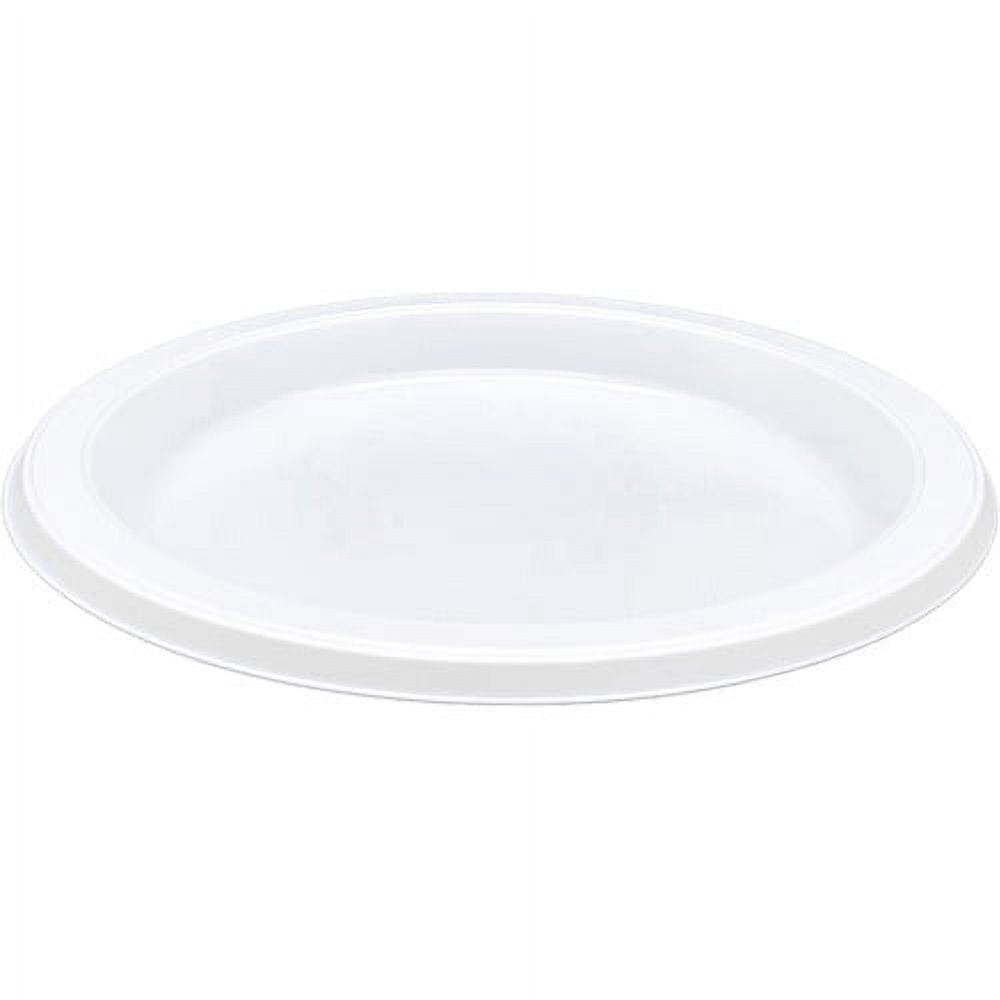 Genuine Joe Disposable Plastic Plates - Picnic, Food, Party, Breakroom ...