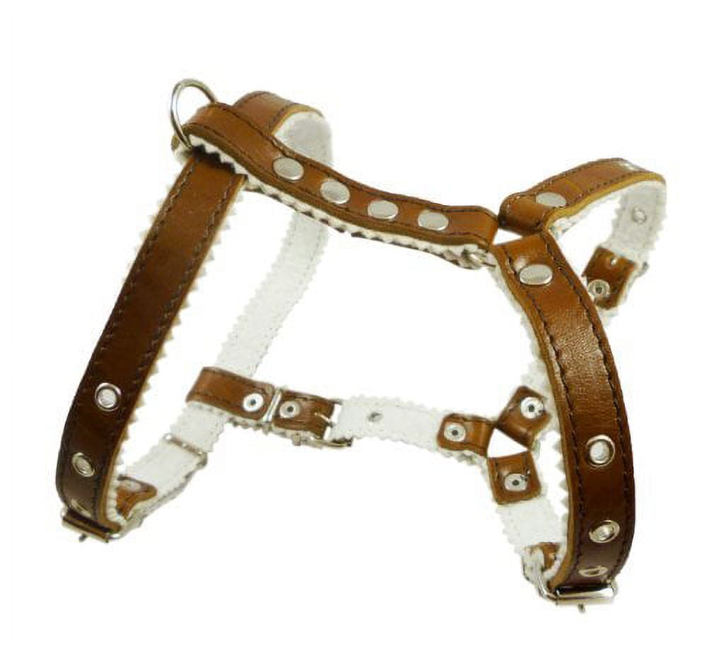Genuine Leather Dog Harness Padded, Fits 17" - 21" Chest, Poodle ...