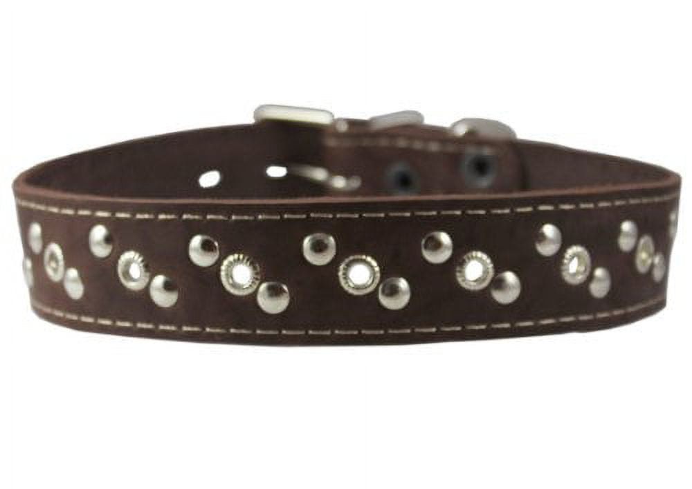 Genuine Leather Studded Dog Collar 22"x1" Brown Fits 15"-19.5" Neck ...