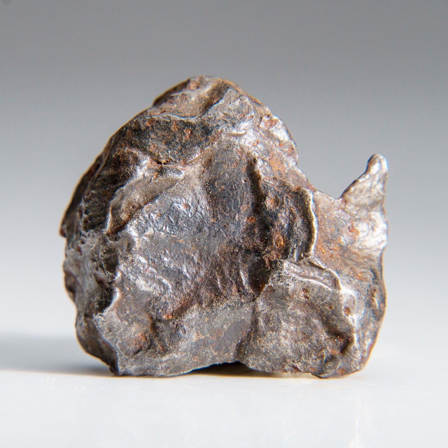 Genuine Natural Sikhote-Alin Meteorite from Russia (54.3 grams ...