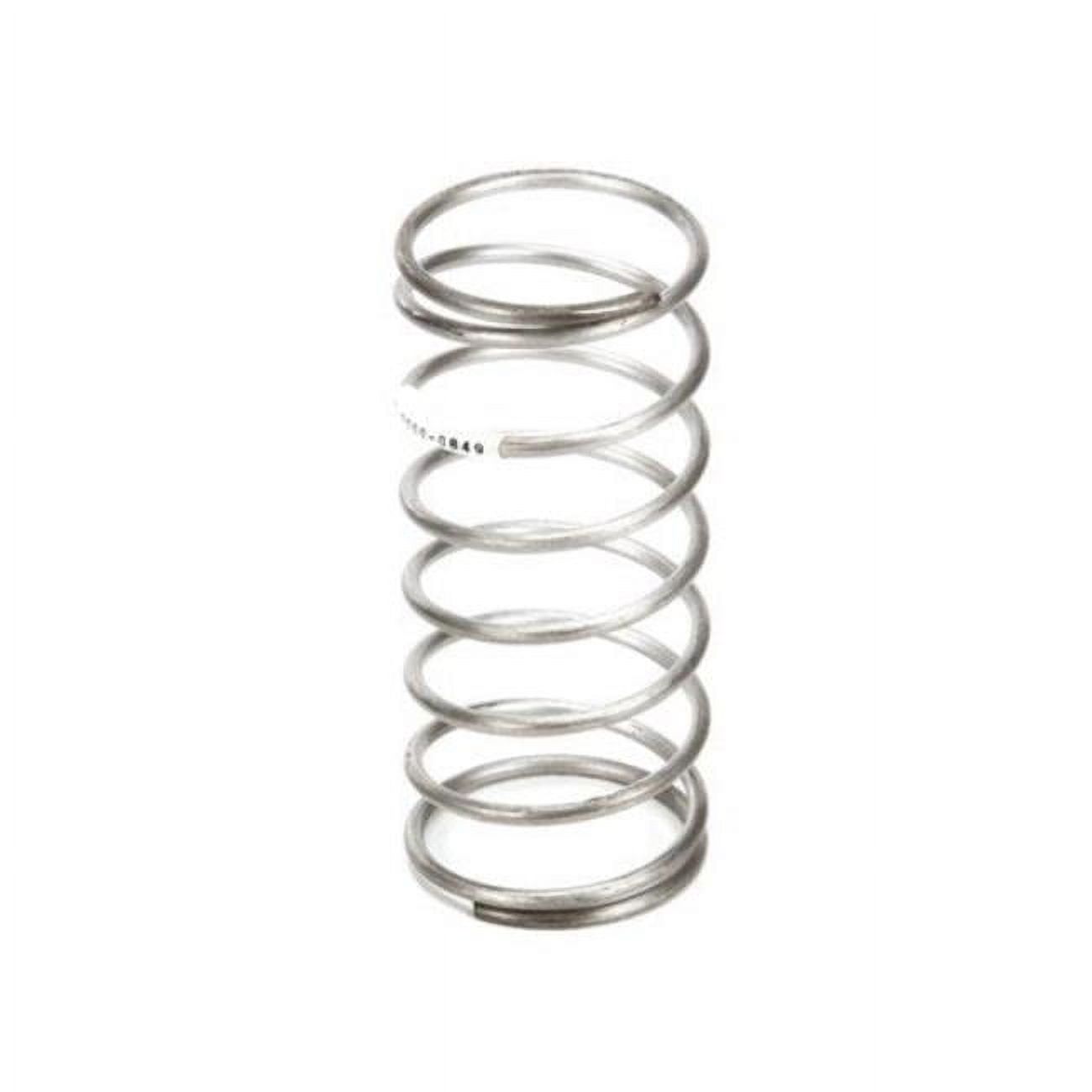 Genuine OEM Spring Valve - Walmart.com