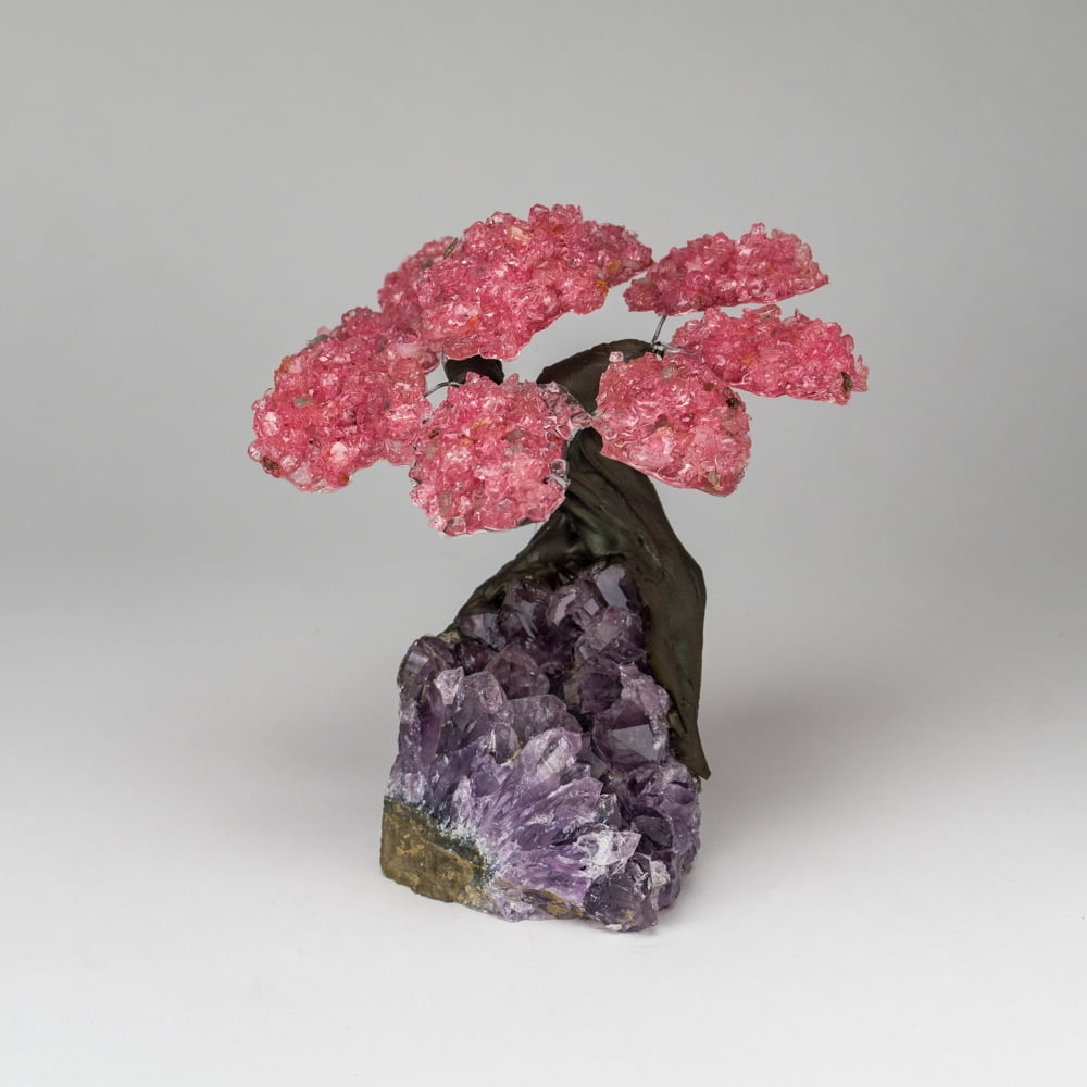 Genuine Rose Quartz Clustered Gemstone Tree on Amethyst Matrix (5 ...