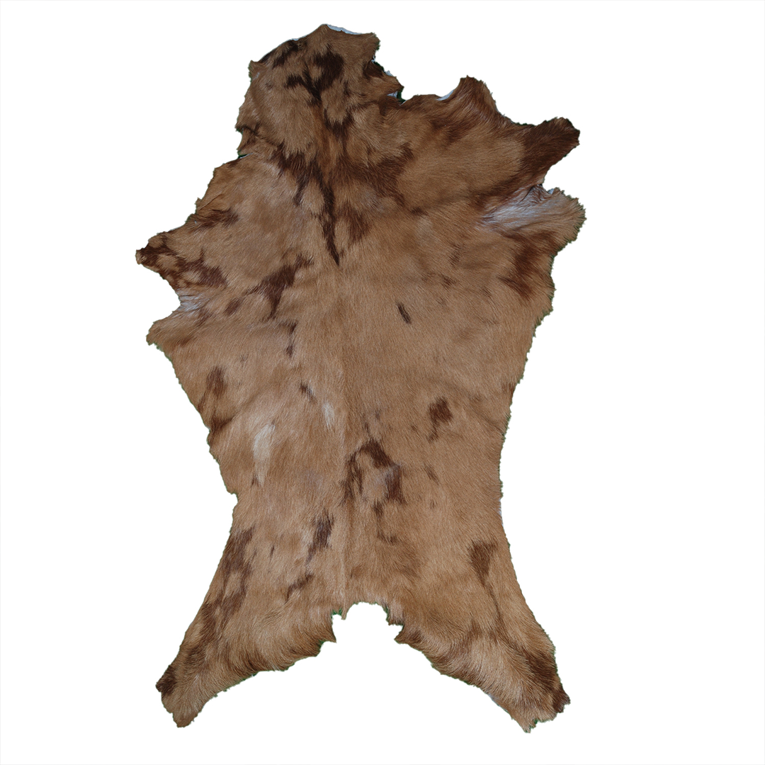 Genuine Tan Goat Hide Rug | Premium Hair-on Leather for Rustic and ...