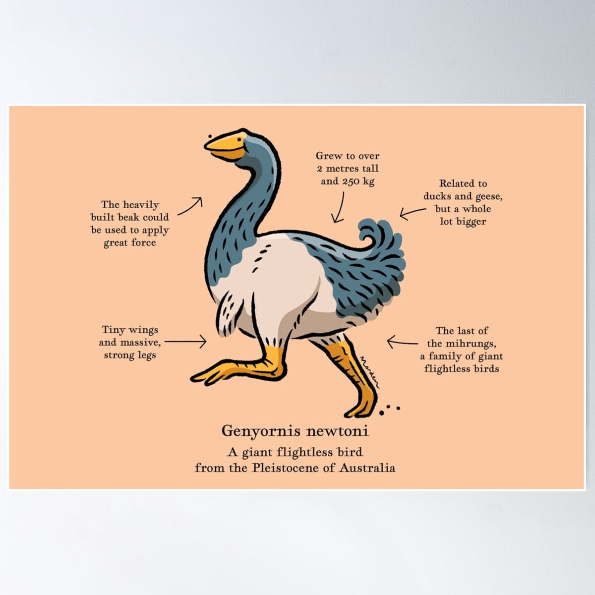 Genyornis Newtoni A Giant Bird Of Prehistoric Australia Poster Wall Art ...
