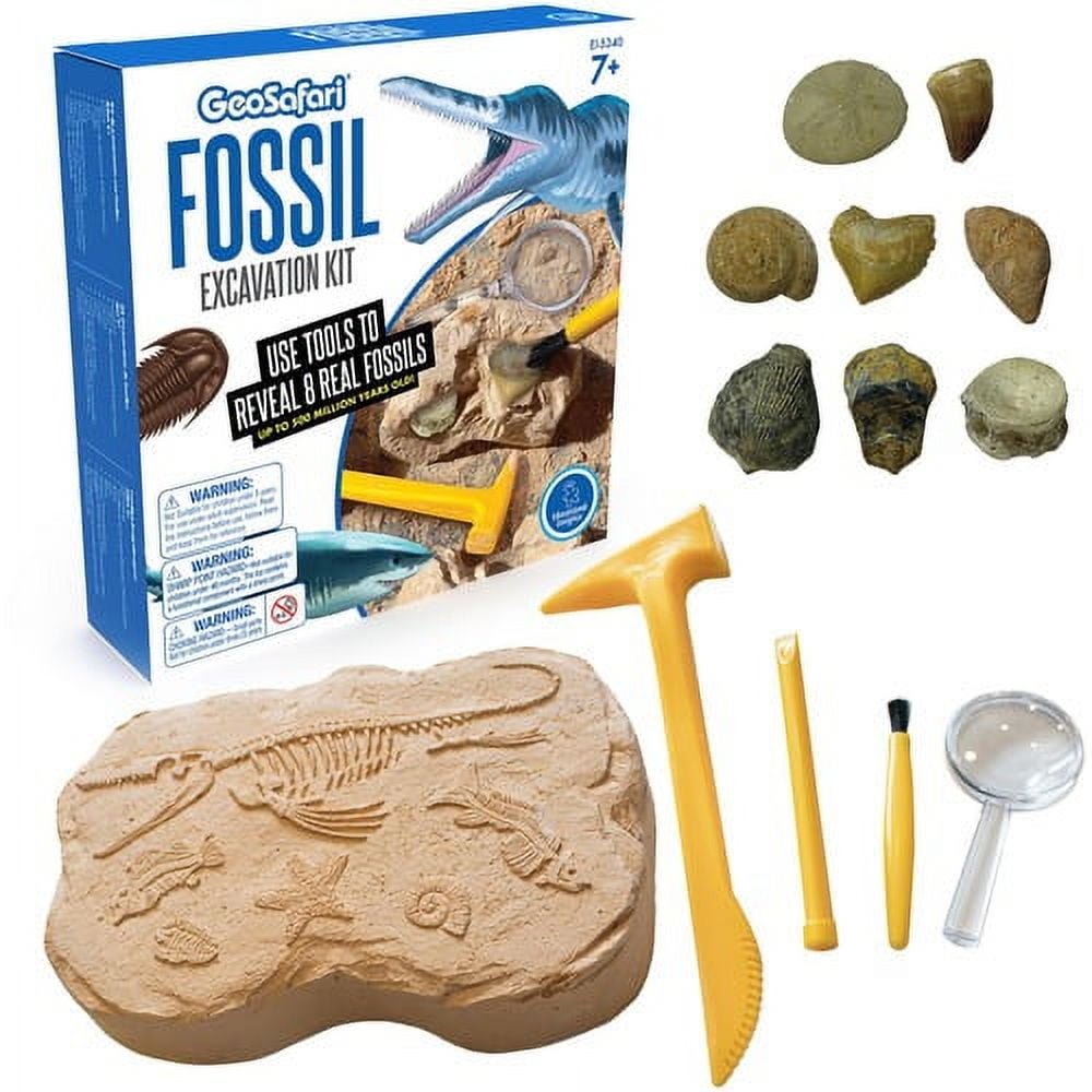 GeoSafari Fossil Excavation Kit - Theme/Subject: Fun - Skill Learning ...