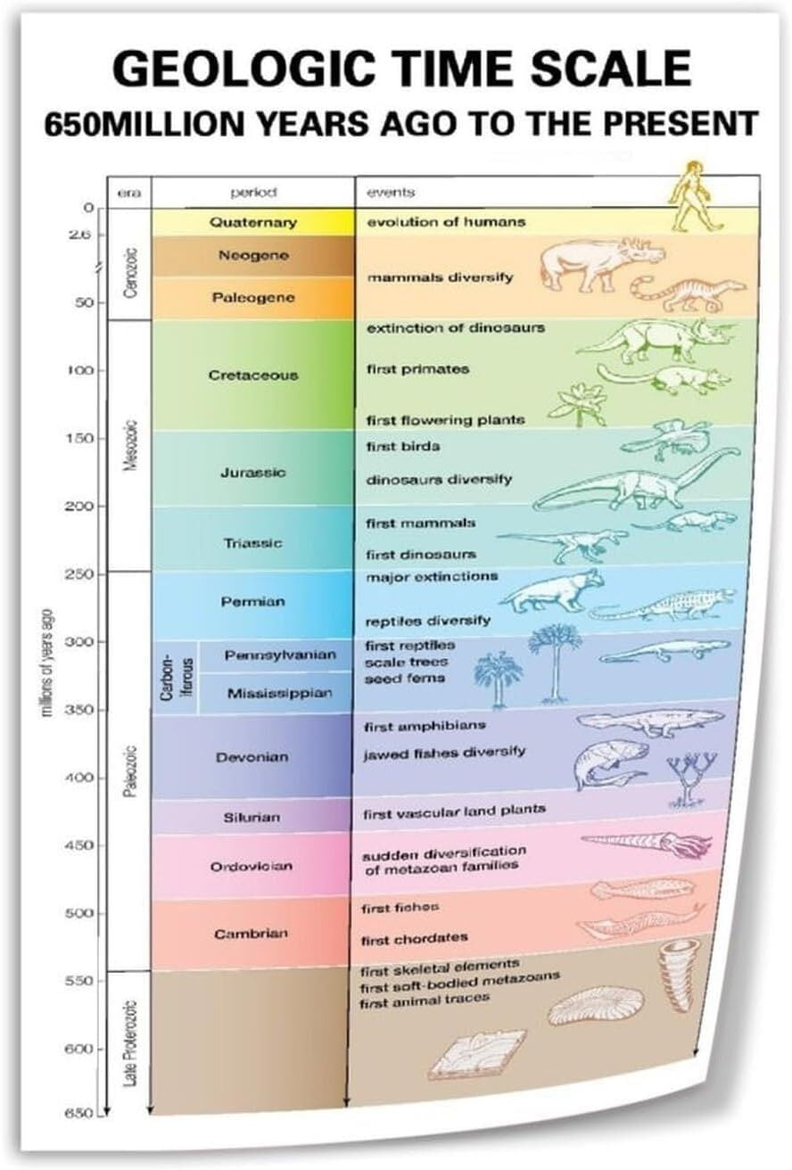 Geological Time Scale Poster Logo Geological Knowledge Popular Science ...