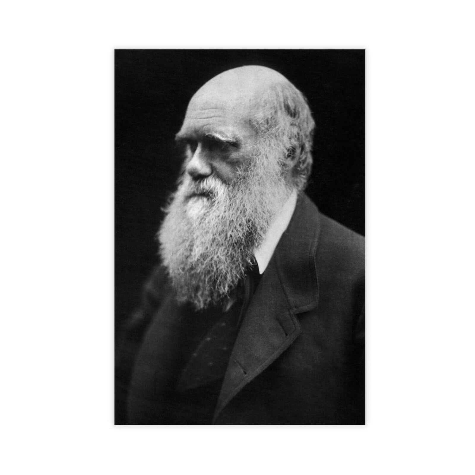 Geologist And Biologist Charles Darwin Posters for Entertainment Room ...