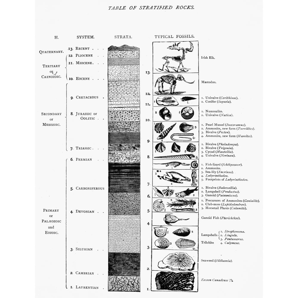 Geology Time Chart. Na Late 19Th Century Classification Of The ...