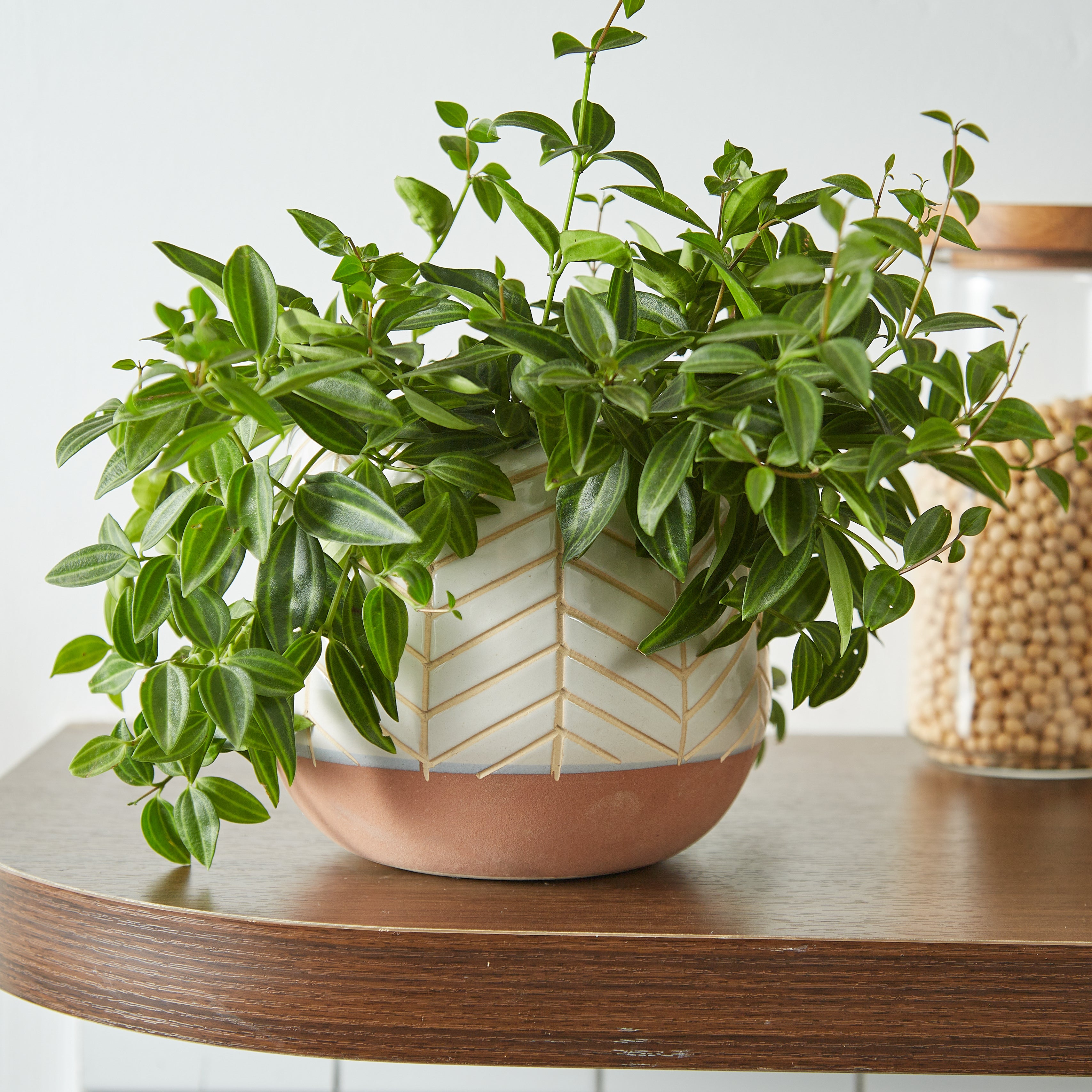 Geoluxe Indoor Ceramic Pot - Small Ceramic Planter, Handmade Ceramic ...