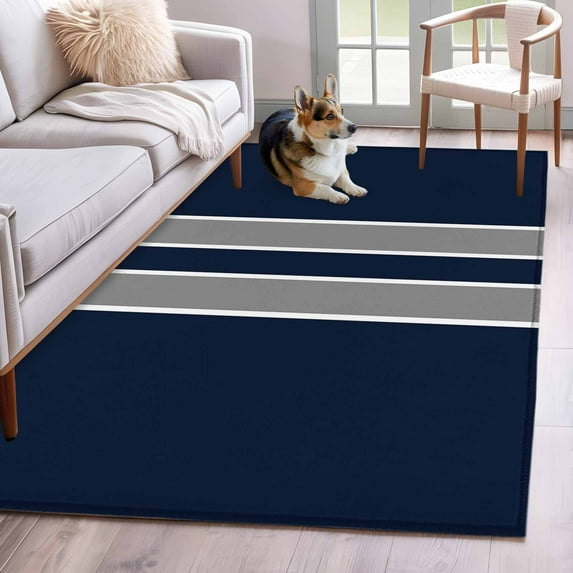 Geometric Stripes Area Rugs 3x5 ft Blue Background Washable Rug Non ...