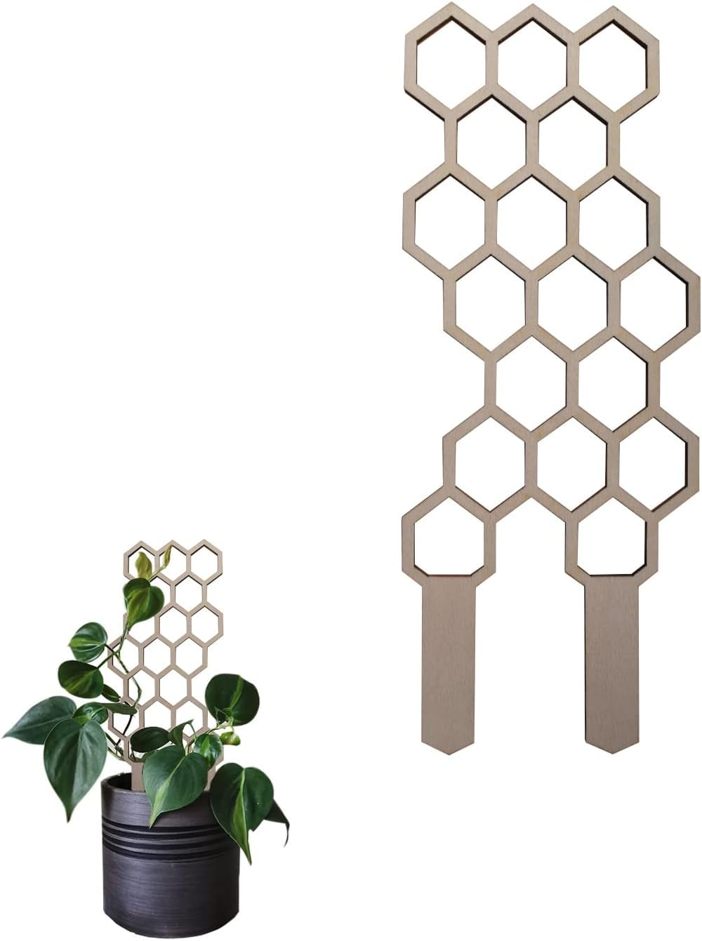 Geometry Trellis For Climbing Plants Indoor, Small Garden Potted Plant ...