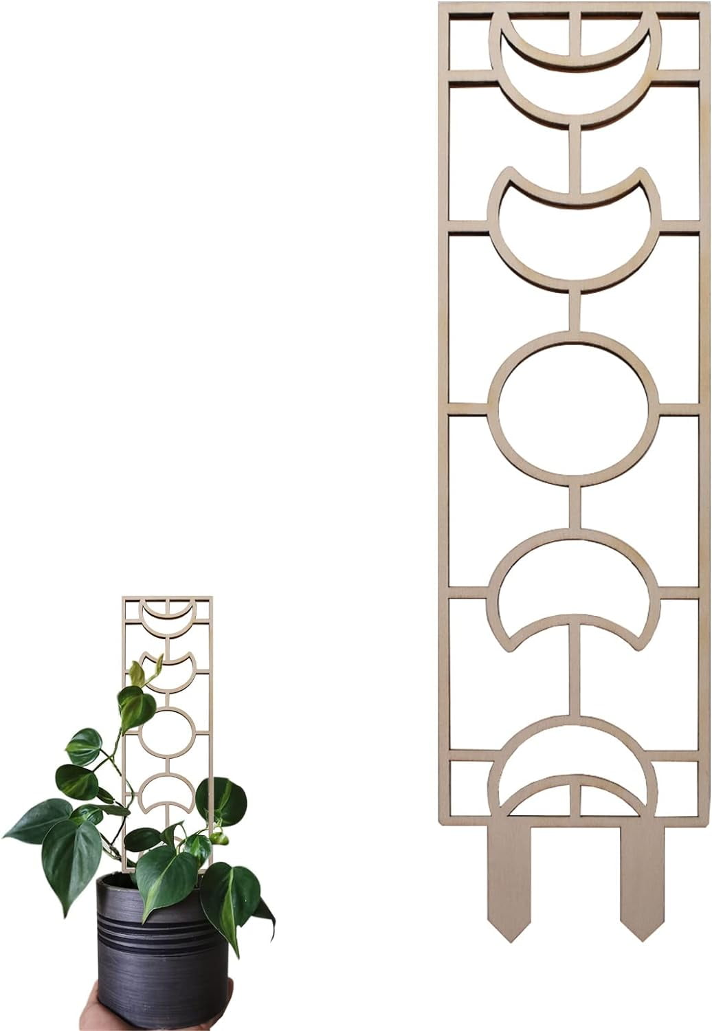 Geometry Trellis For Climbing Plants Indoor, Small Garden Potted Plant ...