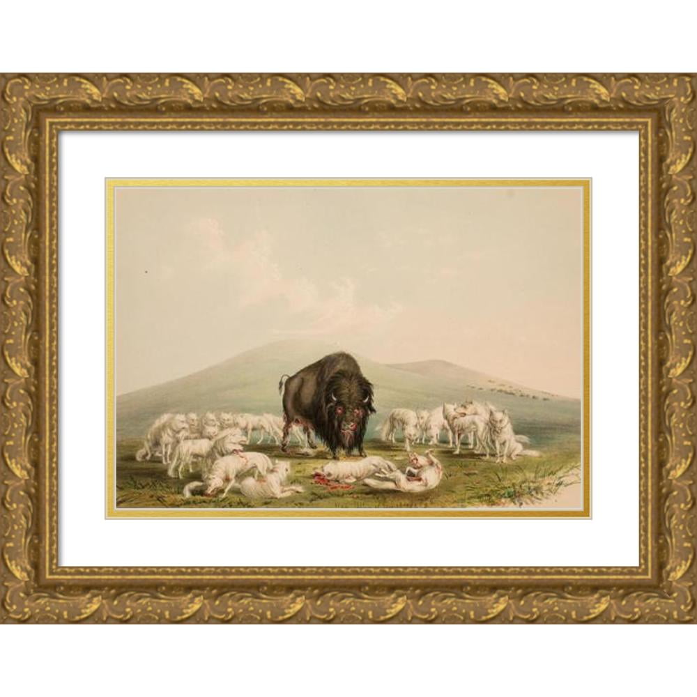 George Catlin 14x11 Gold Ornate Wood Frame and Double Matted Museum Art ...