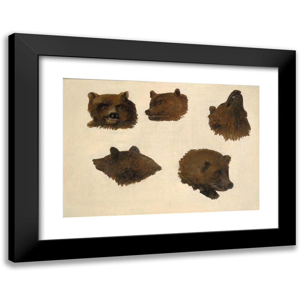 George Catlin 18x14 Black Modern Framed Museum Art Print Titled ...