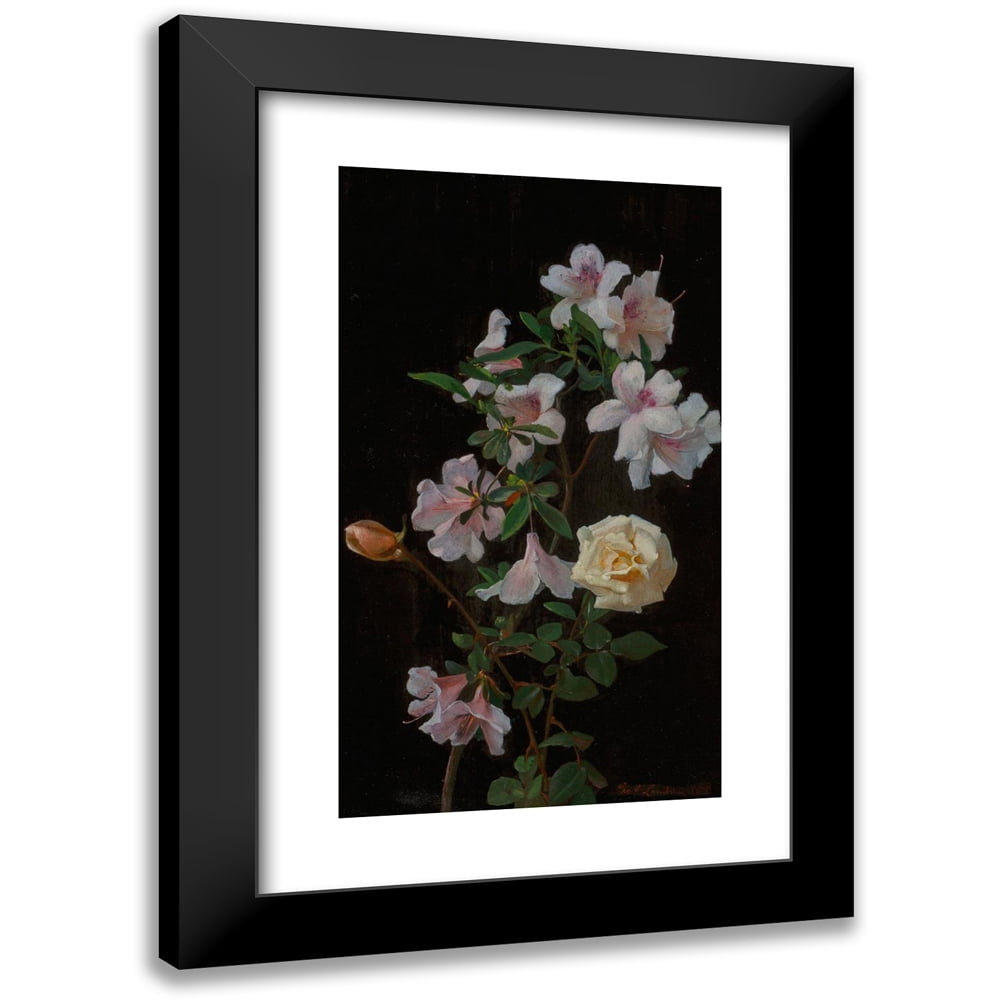George Cochran Lambdin 10x14 Black Modern Framed Museum Art Print ...