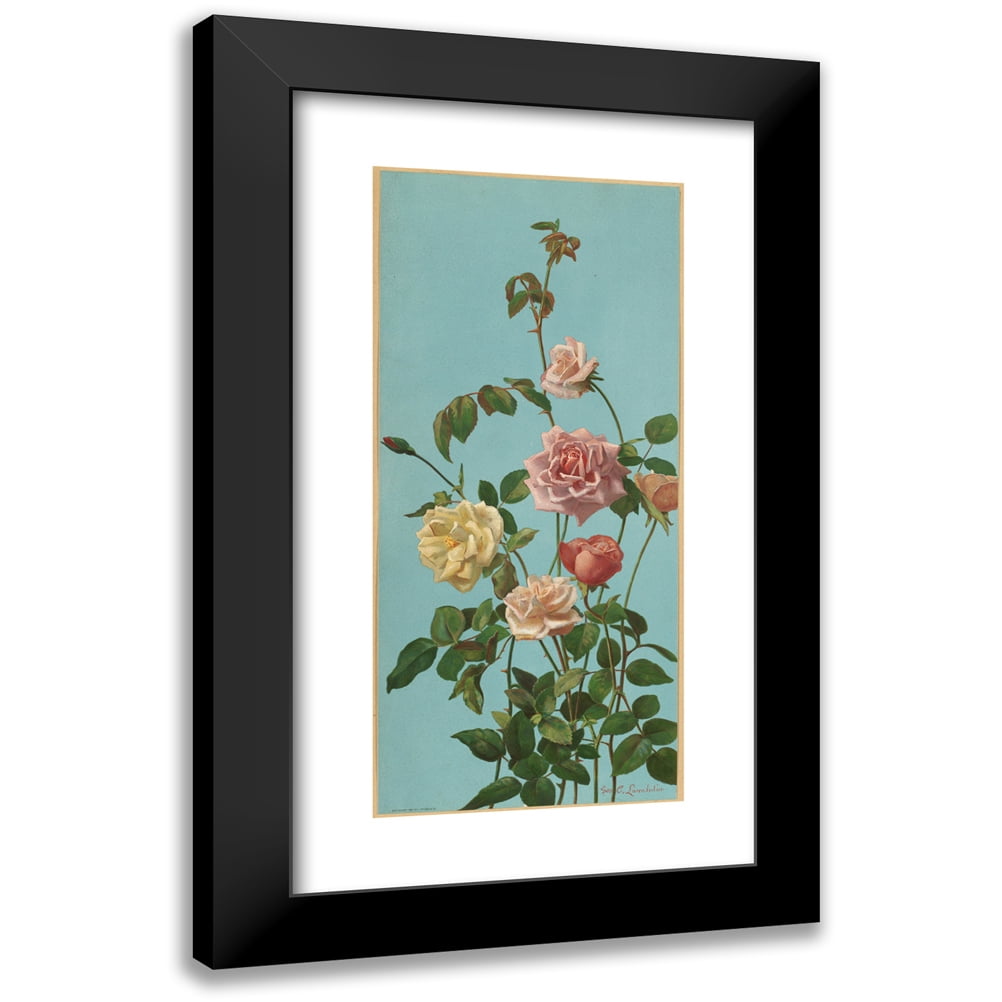 George Cochran Lambdin 8x14 Black Modern Framed Museum Art Print Titled ...