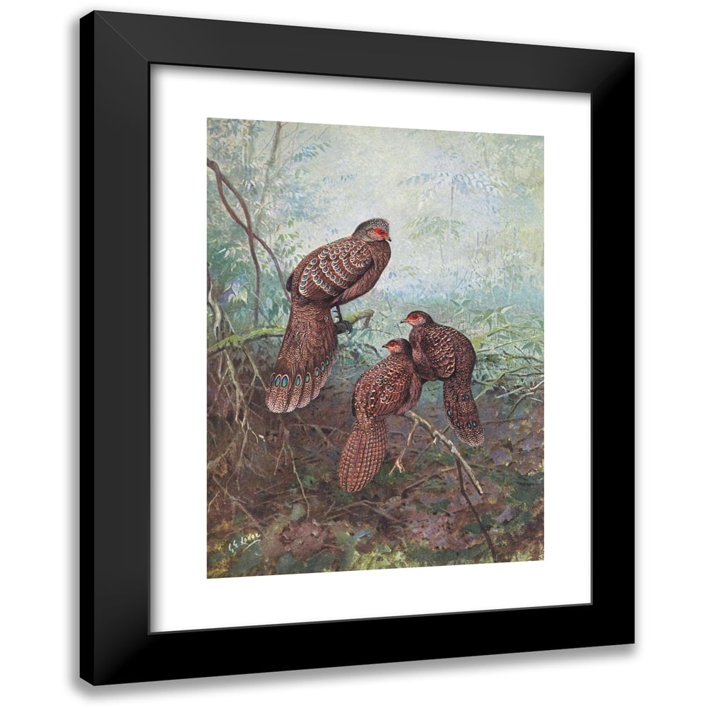 George Edward Lodge 11x14 Black Modern Framed Museum Art Print Titled ...