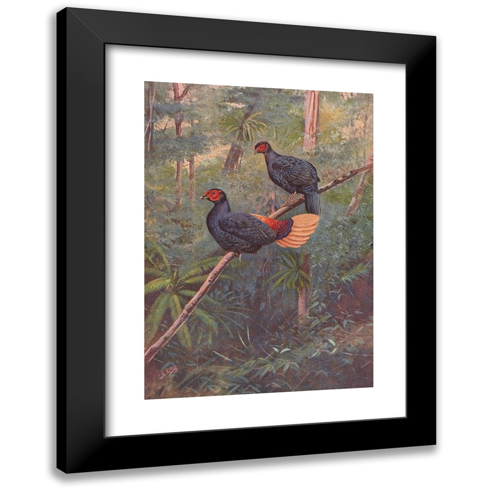 George Edward Lodge 11x14 Black Modern Framed Museum Art Print Titled ...