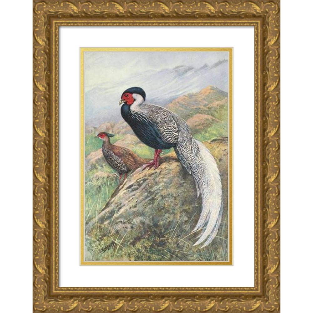 George Edward Lodge 11x14 Gold Ornate Wood Frame and Double Matted ...