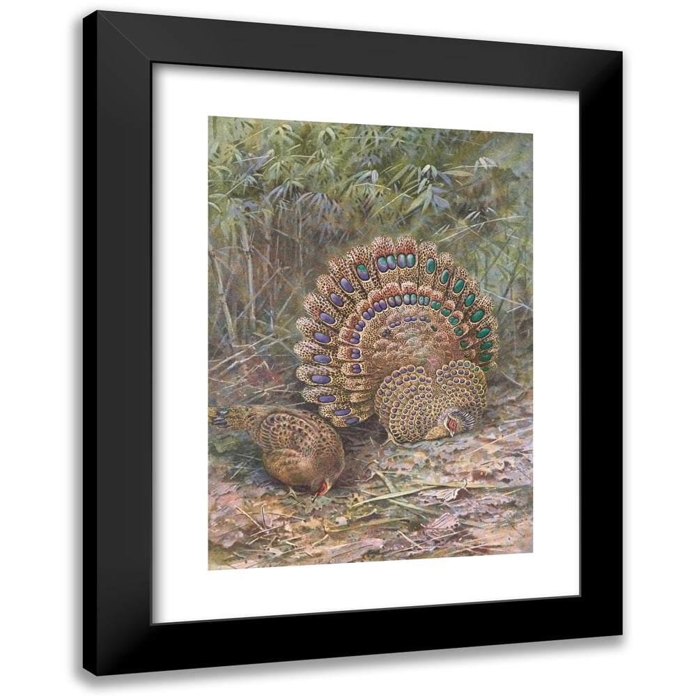 George Edward Lodge 14x18 Black Modern Framed Museum Art Print Titled ...