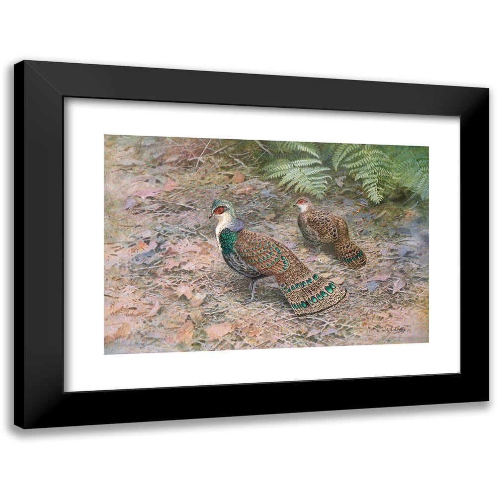 George Edward Lodge 24x18 Black Modern Framed Museum Art Print Titled ...