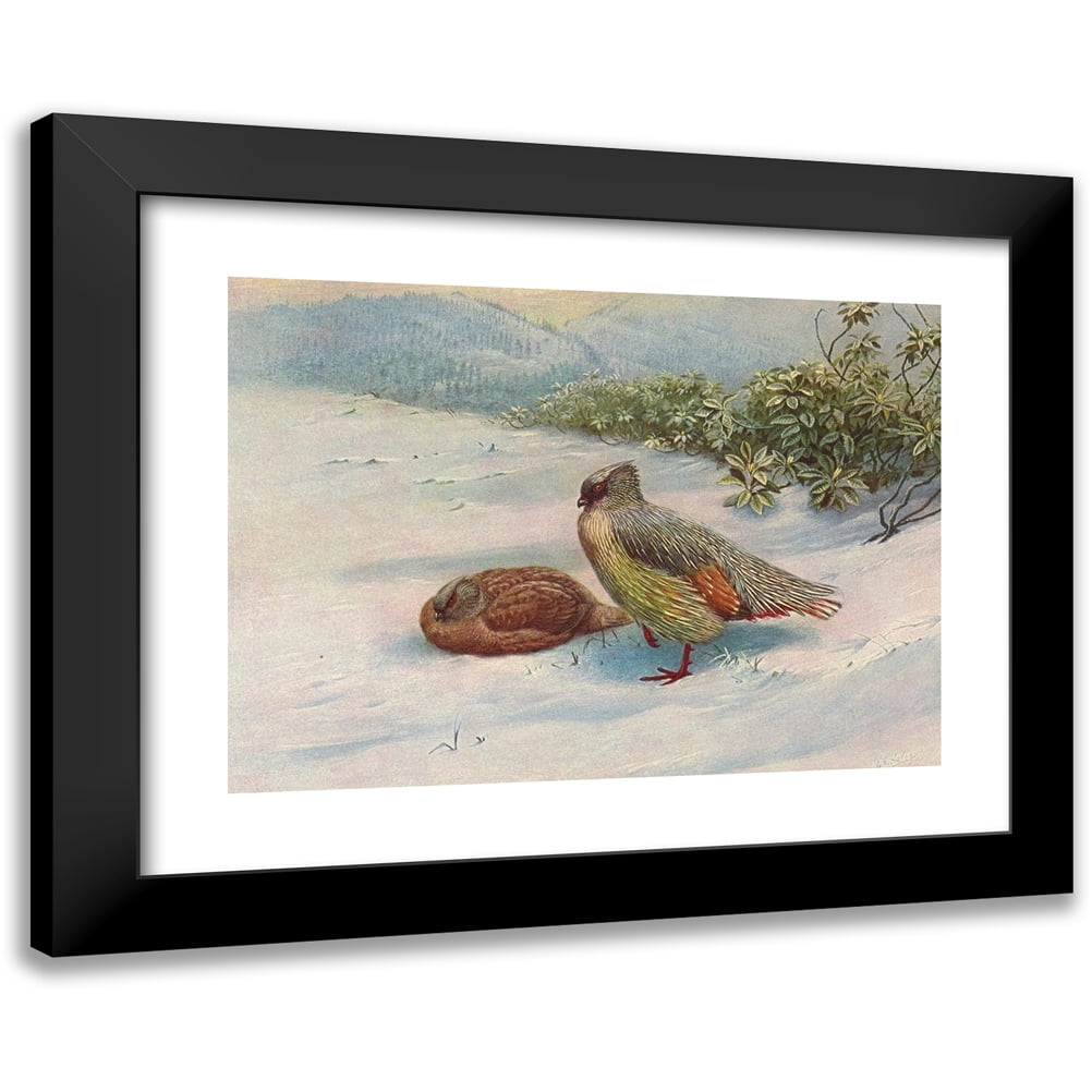 George Edward Lodge 24x18 Black Modern Framed Museum Art Print Titled ...