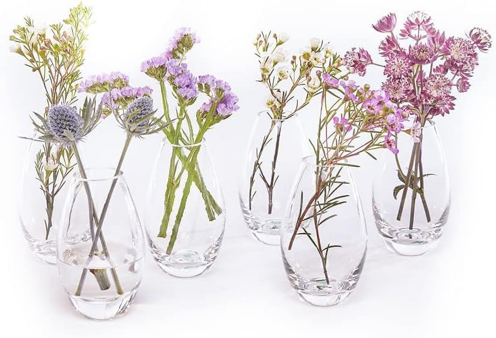 ‘George’ Glass Bottle Flower Vases — Set of 6 — Small, Elegant Clear Glass Bud Vases — Bulk Pack ...