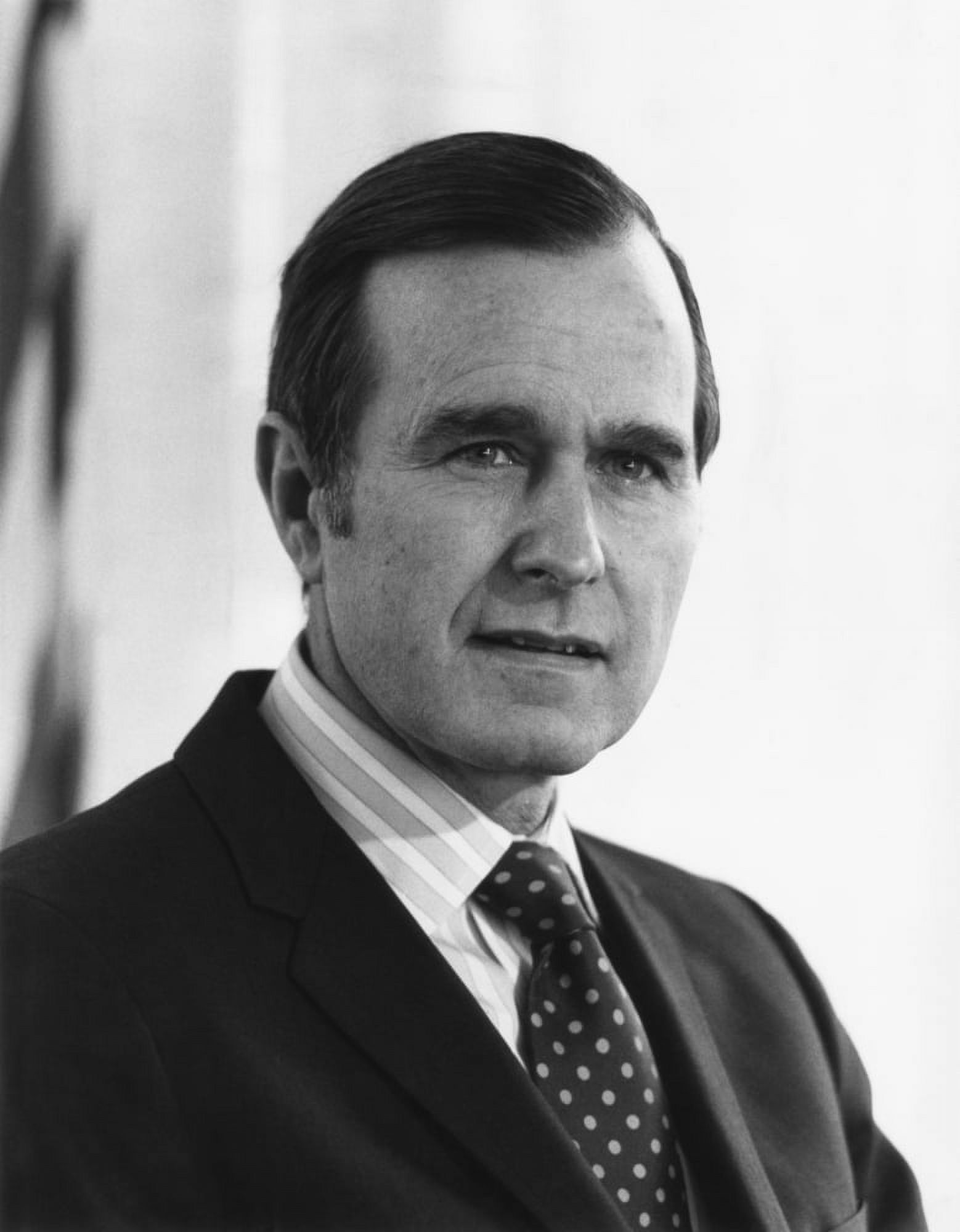 George H.W. Bush History (24 x 36) - Walmart.com