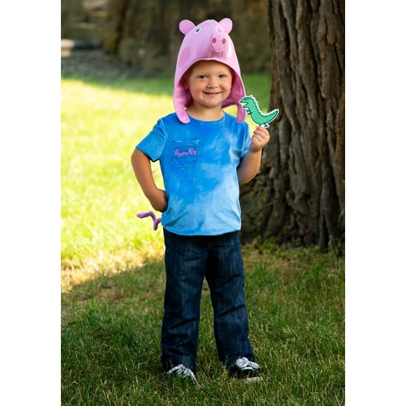 3 Little Pigs Costume